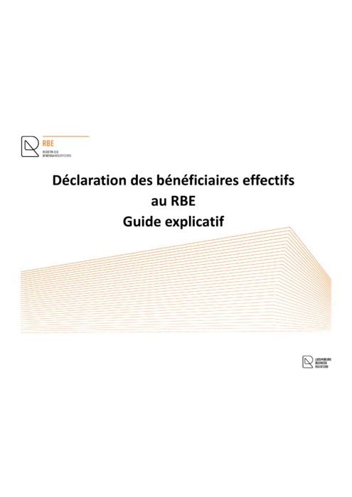 Média : Guide Explicatif RBE